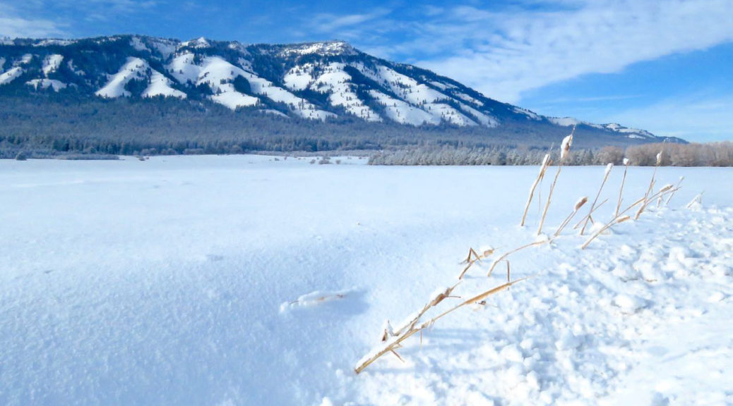 Mt Emily Oregon Archives - Praise Photography