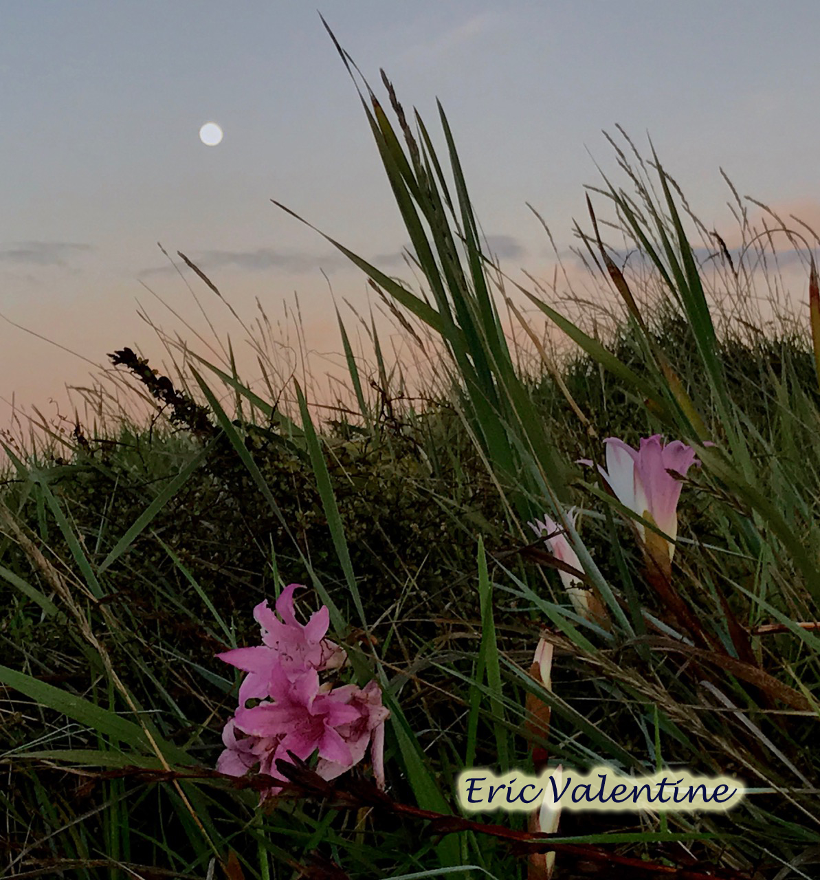 Ohope Beach and the Bay of Plenty: sunrise and sunset – Praise Photography