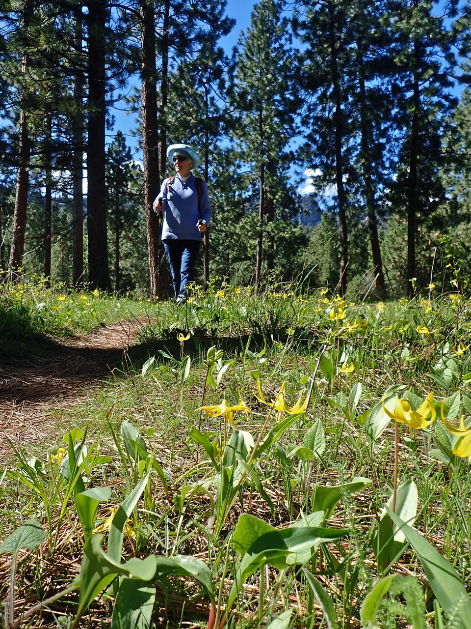 Spring in the Mt Emily Recreation Area (MERA) – Praise Photography