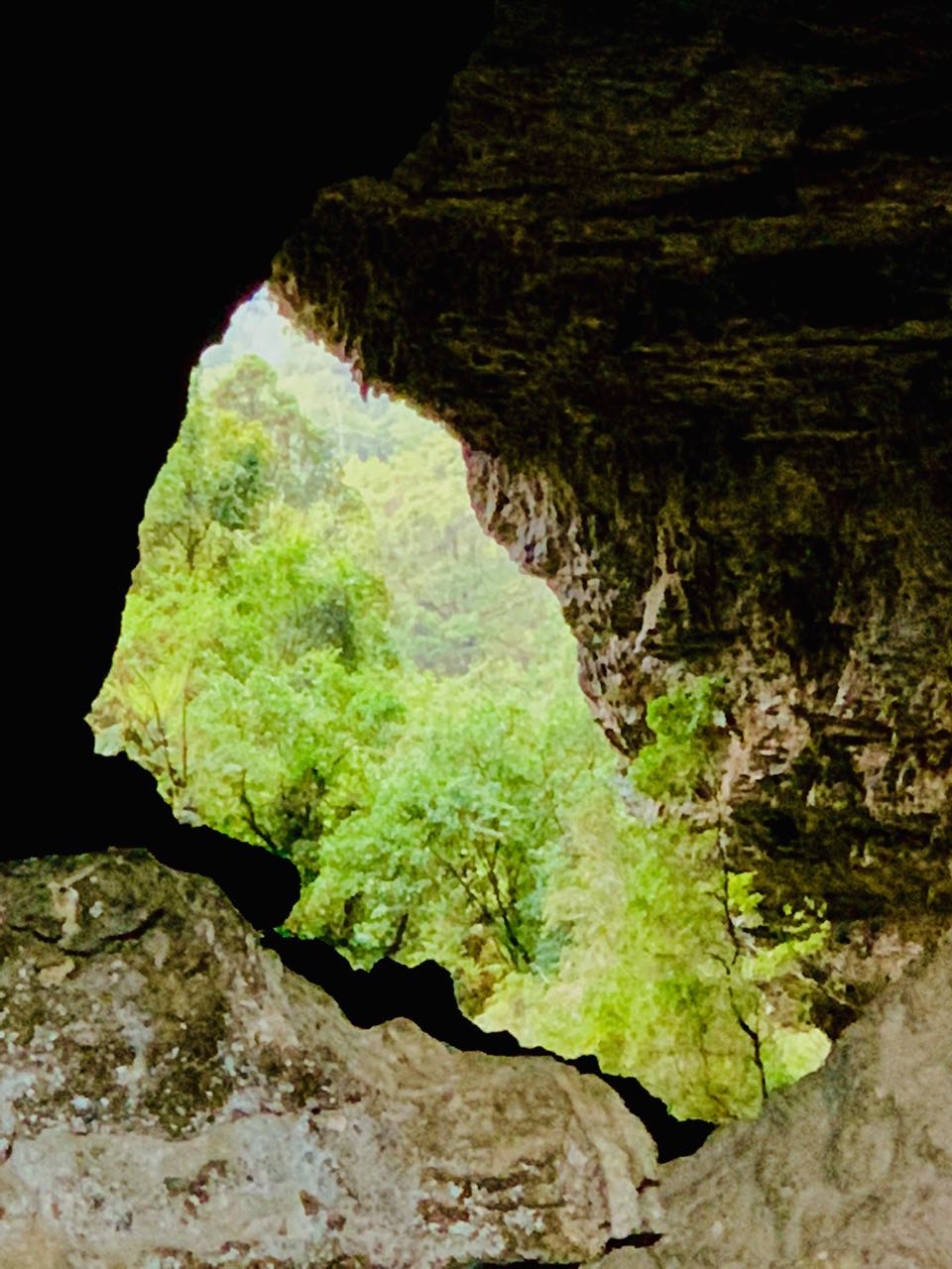 Oparara Arch – Praise Photography