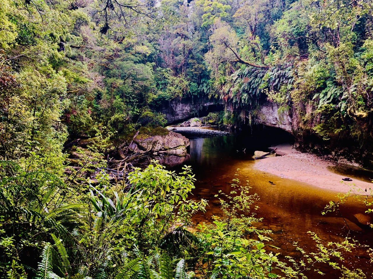 Oparara Basin, Moria Arch – Praise Photography