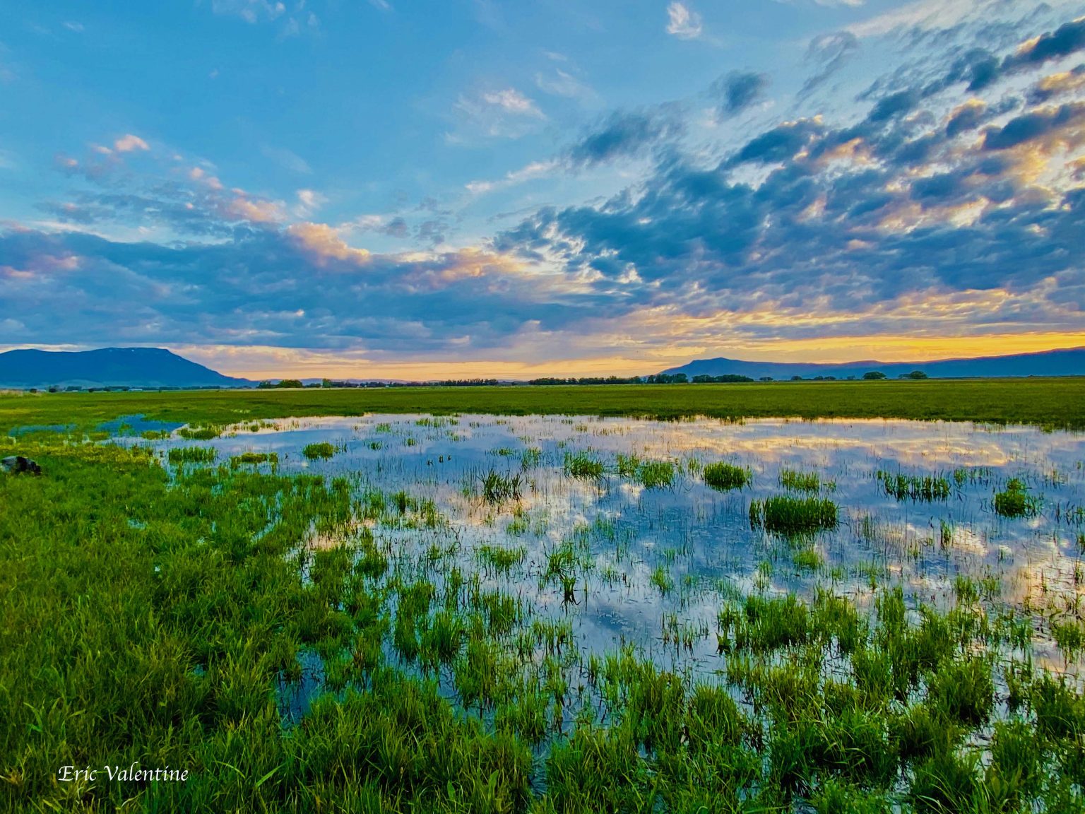 Ladd Marsh Bird Refuge Sunrise Praise Photography ladd-marsh-bird-refuge-sunrise-praise-photography