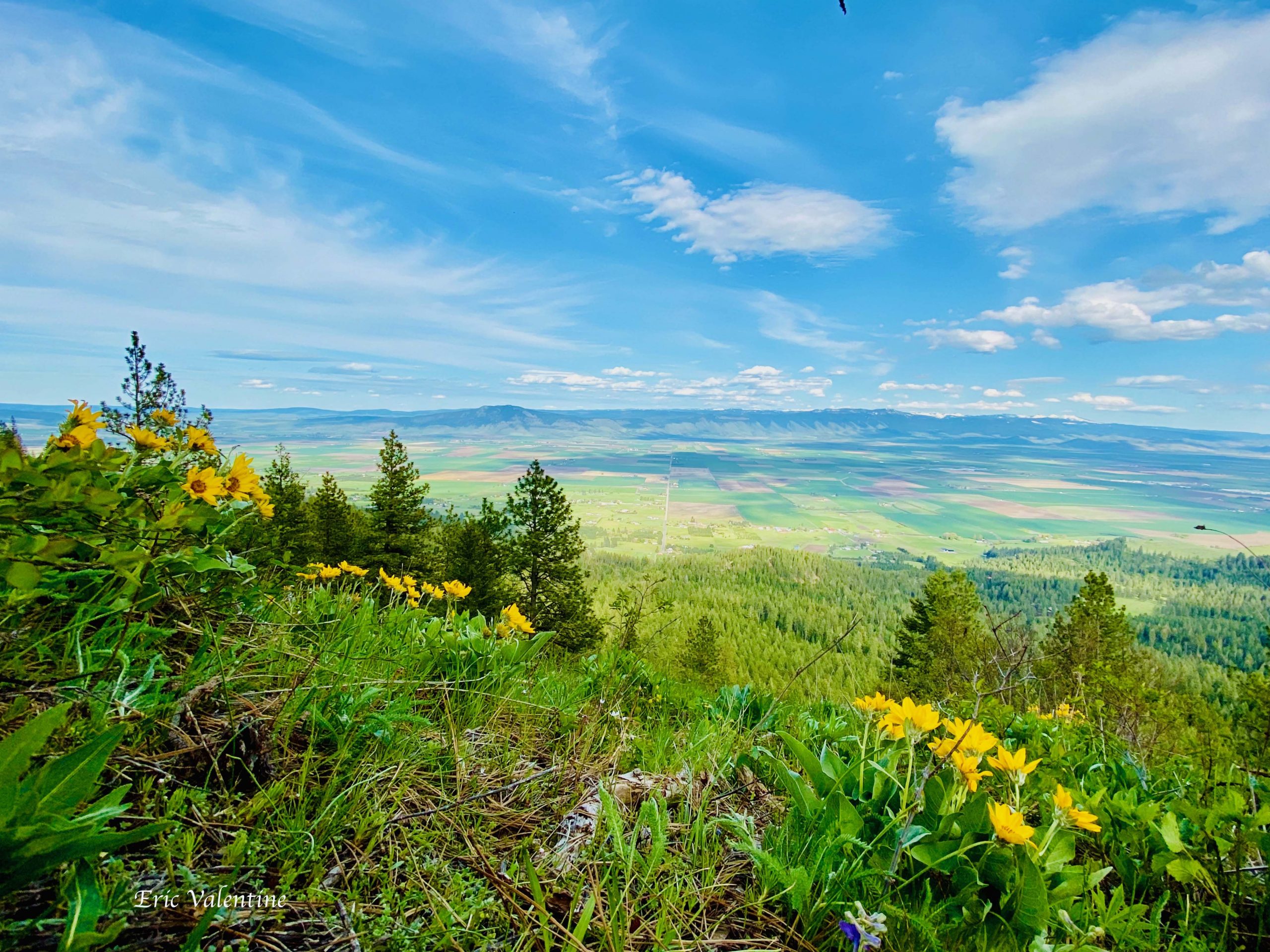 Mt Emily Recreation Area, MERA – Praise Photography