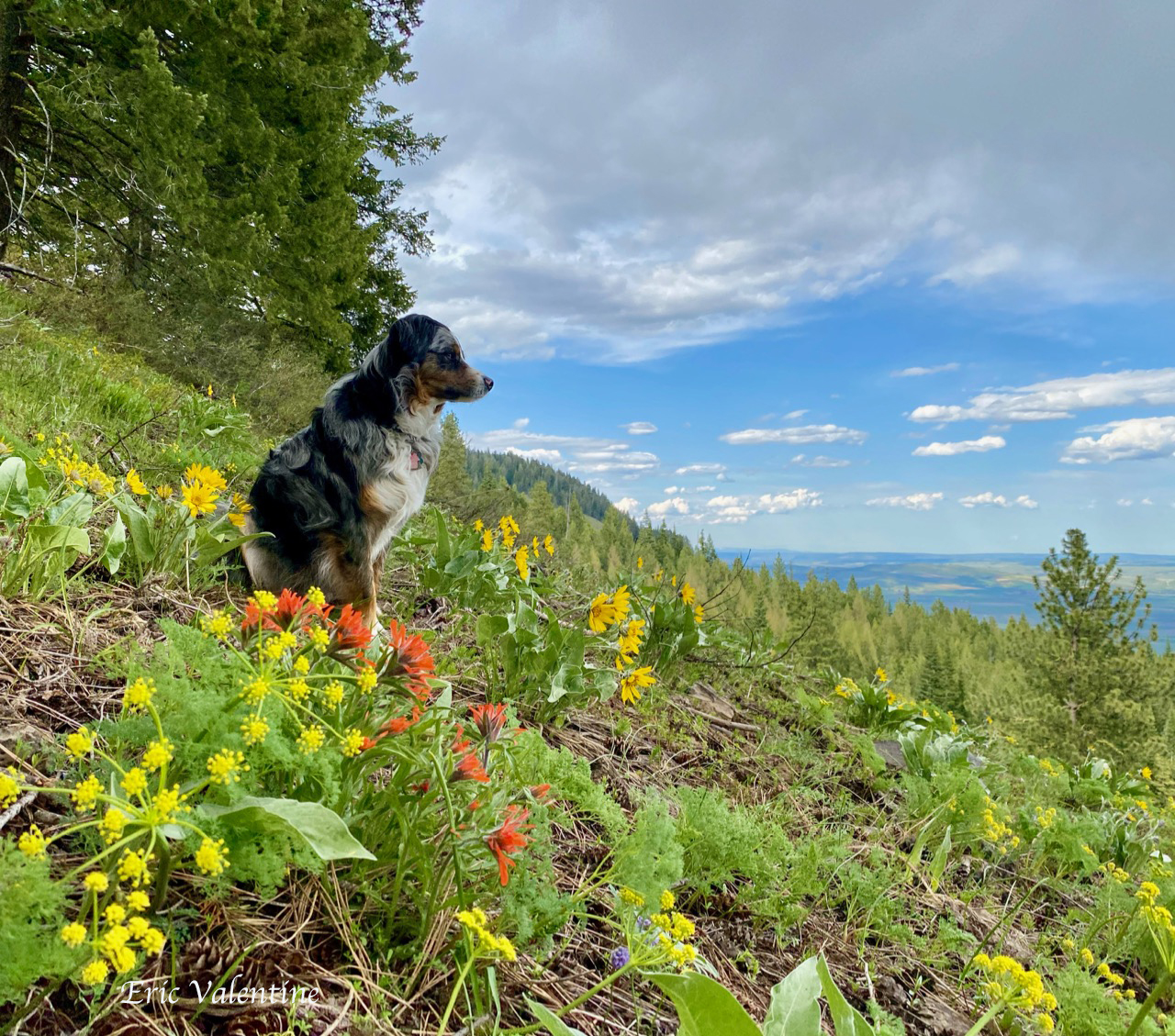 Mt Emily Recreation Area, MERA – Praise Photography