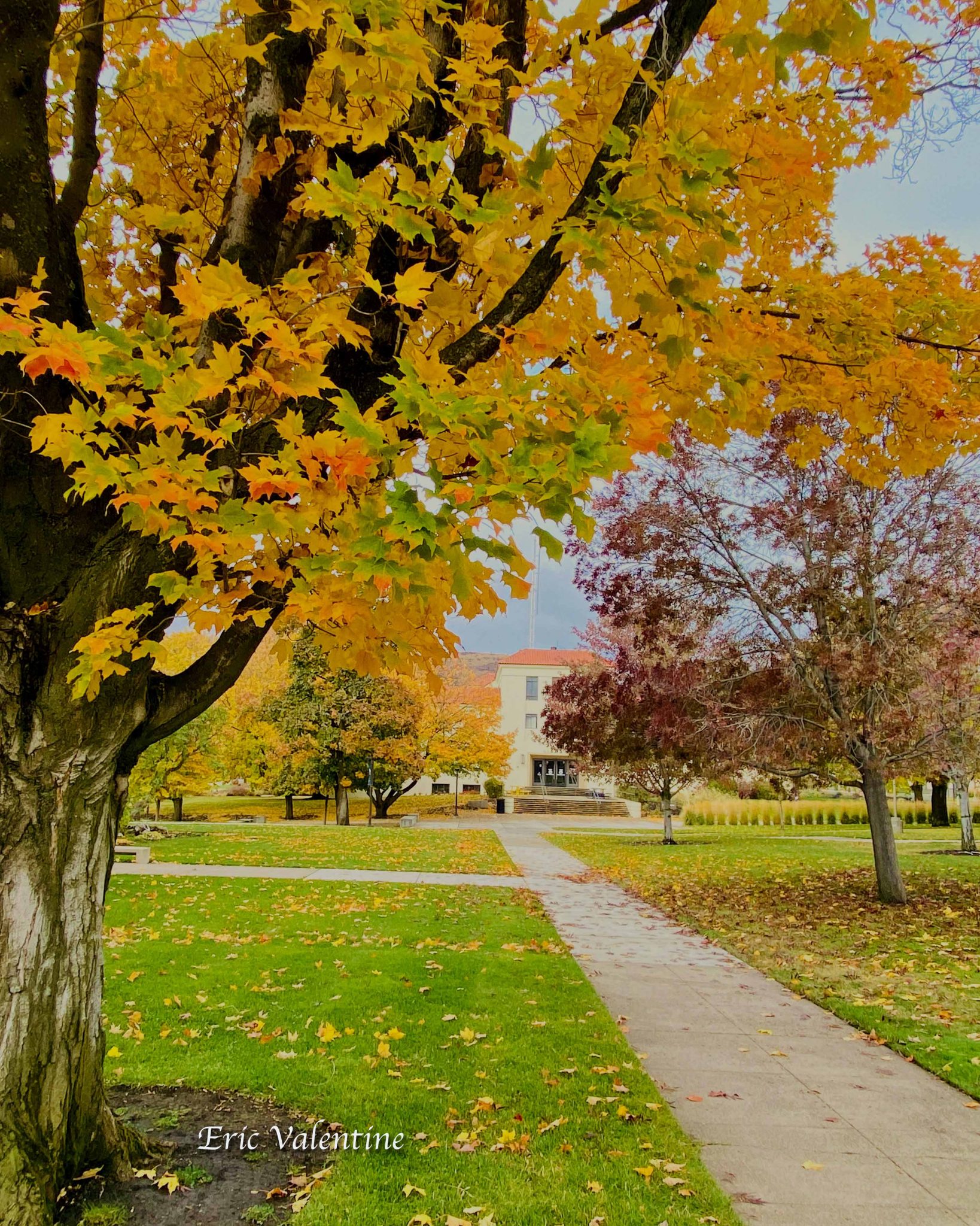 Eastern Oregon University, EOU fall colors – Praise Photography