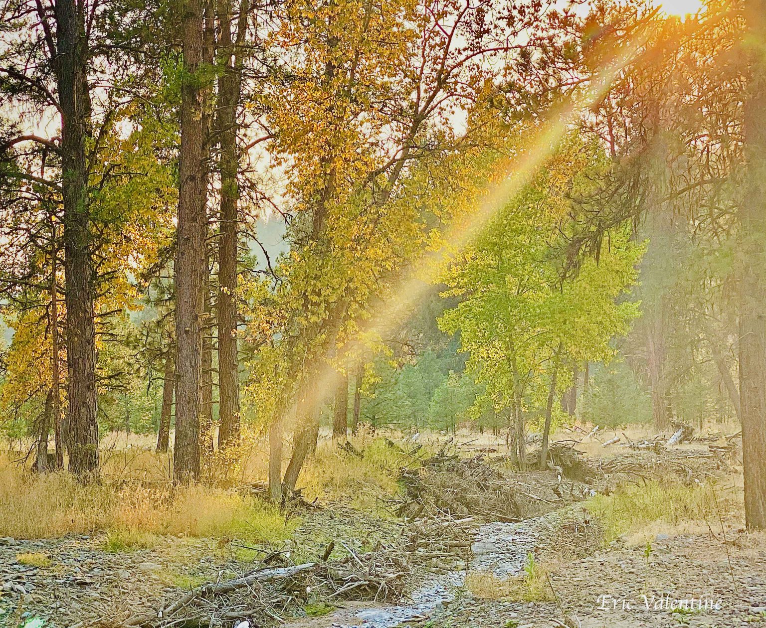 Hilgard State Park – Praise Photography