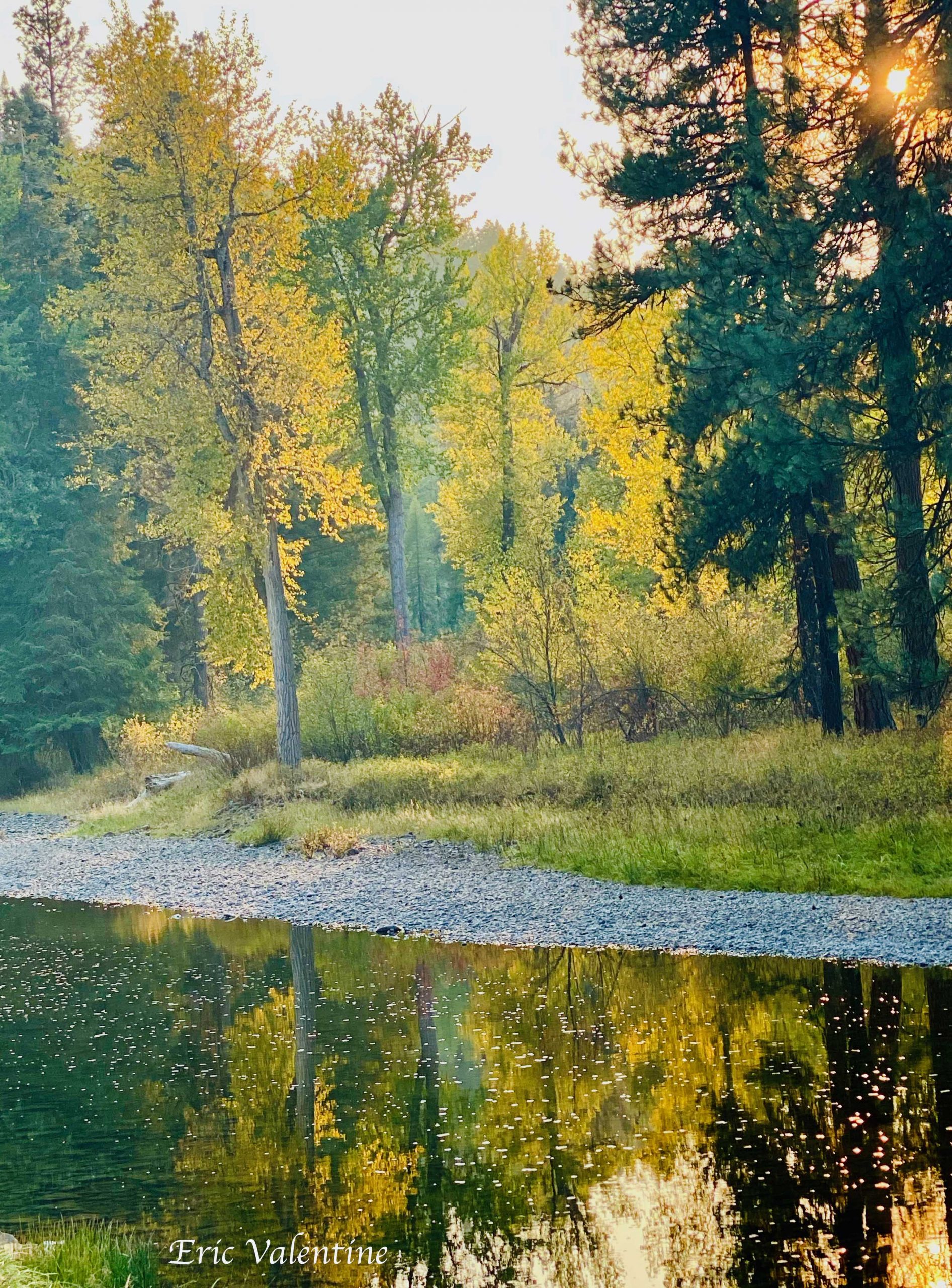 Hilgard State Park – Praise Photography