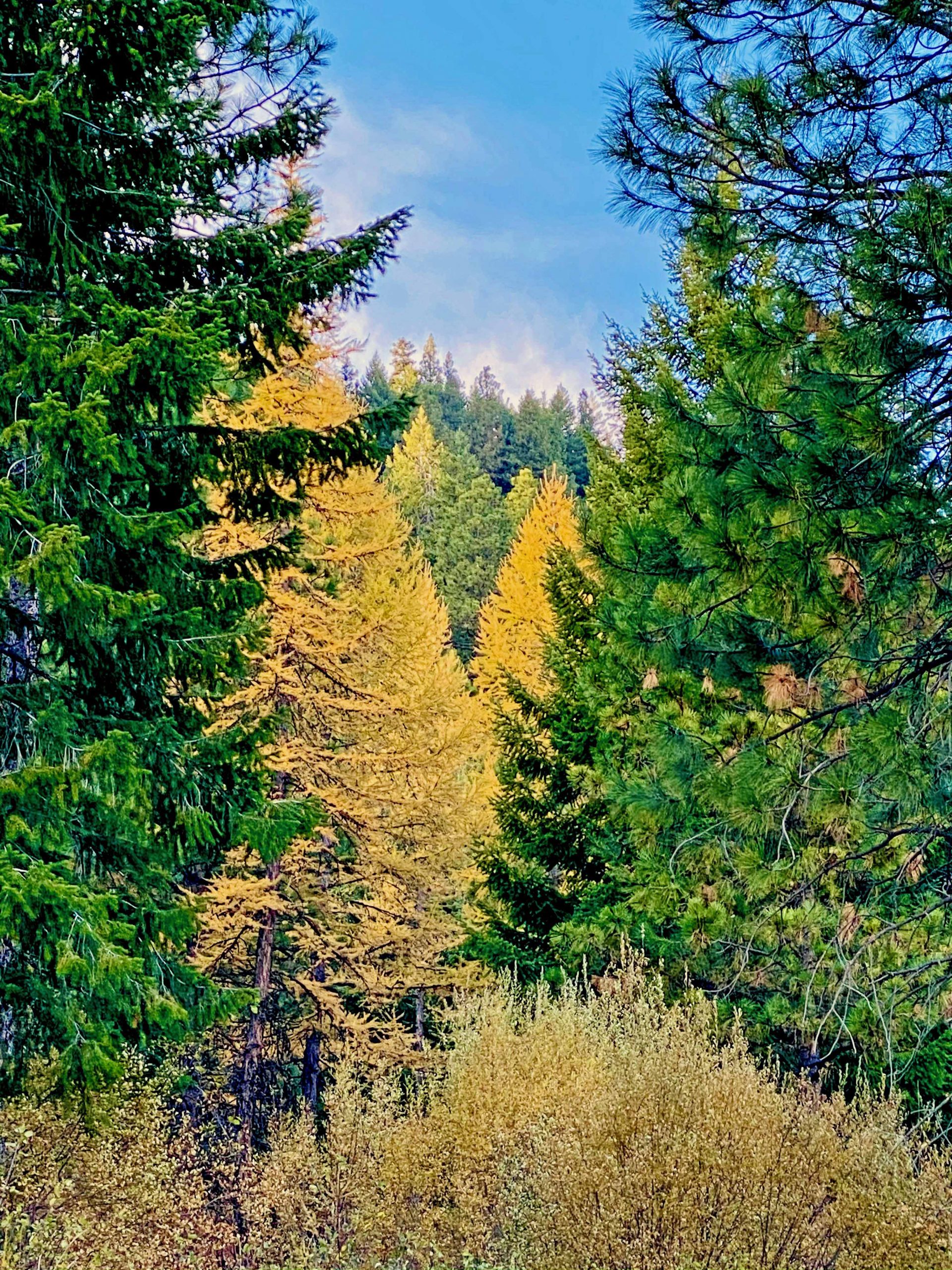 MERA, Union County Oregon, La Grande Oregon – Praise Photography