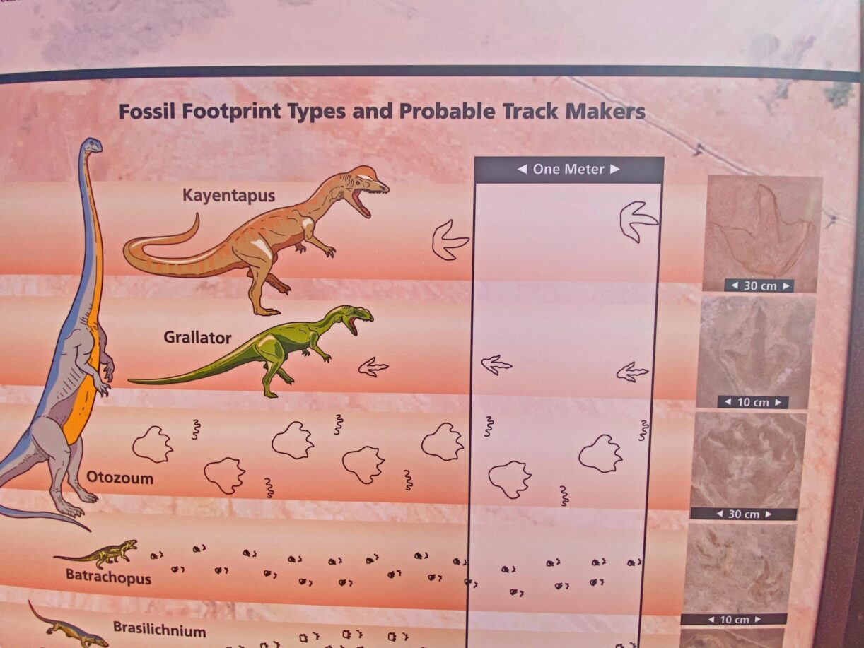 Moccasin Mountain Dinosaur Tracksite – Praise Photography
